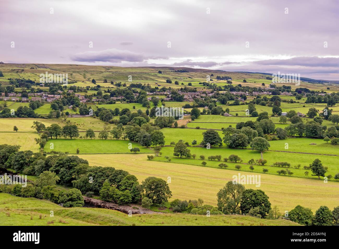 Durham Dale High Resolution Stock Photography and Images - Alamy