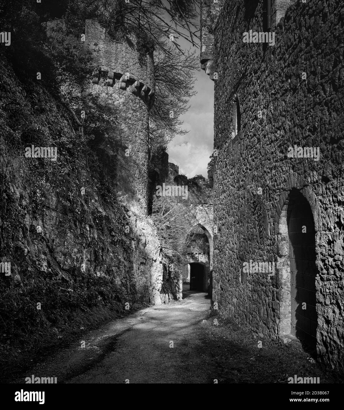 Gwrych castle abergele wales Black and White Stock Photos & Images - Alamy