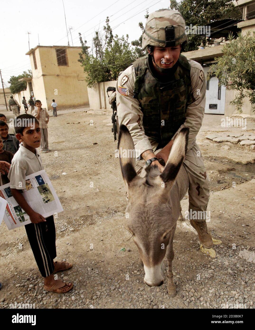 Norman donkey hi-res stock photography and images - Alamy
