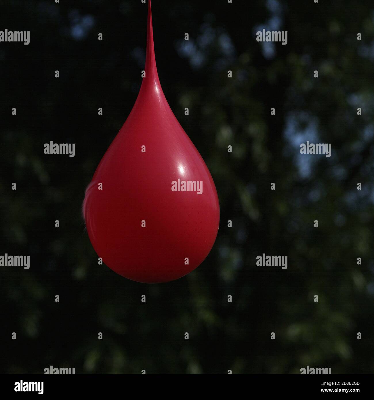 Shot Breaking Water Filled Red Balloon Stock Photo - Alamy