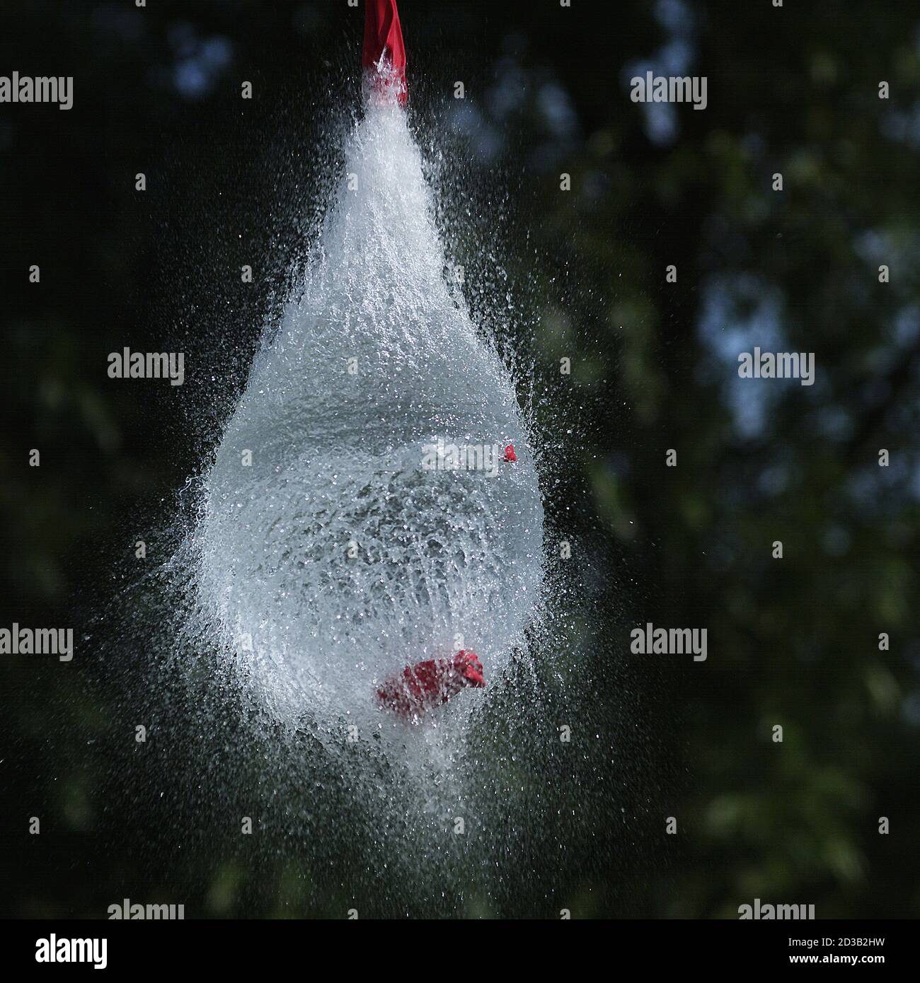 Shot Breaking Water Filled Red Balloon Stock Photo - Alamy