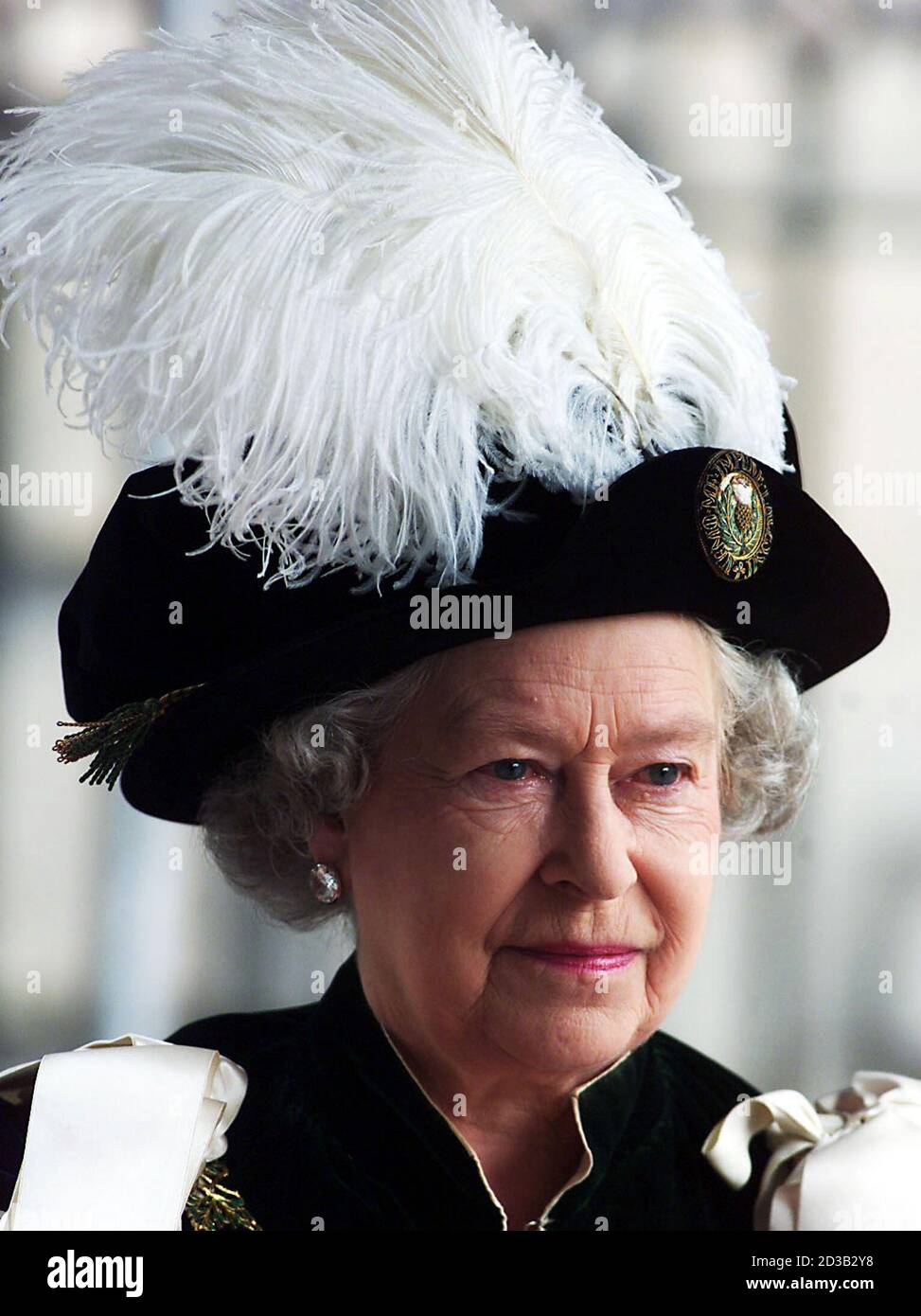 Order of the thistle hi-res stock photography and images - Alamy