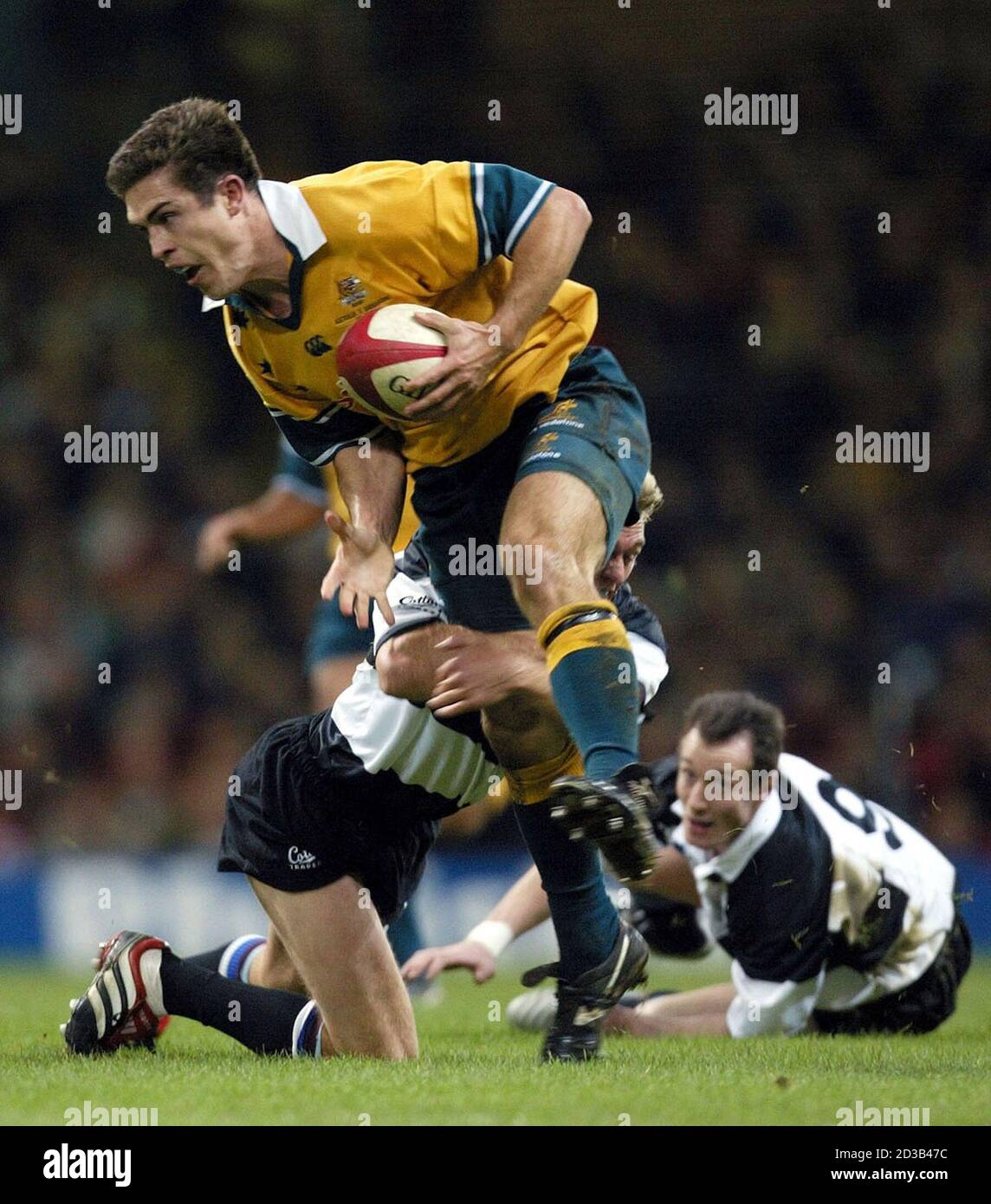 Dan howley hi-res stock photography and images - Alamy