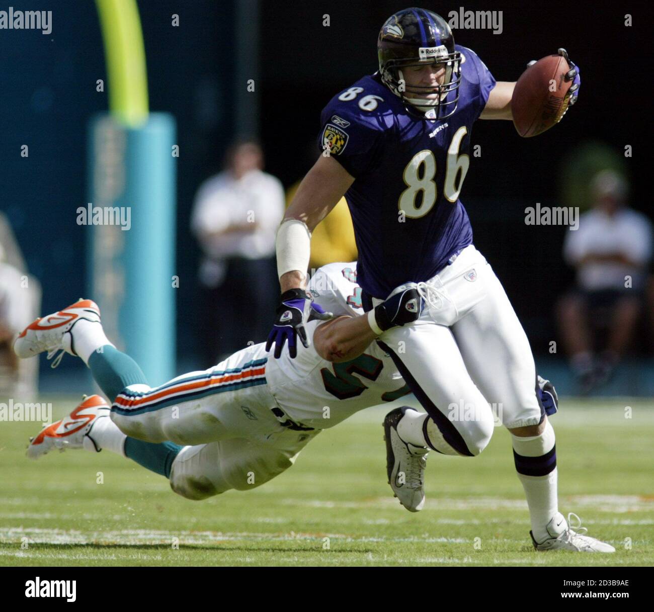Baltimore ravens tight end hi-res stock photography and images - Alamy
