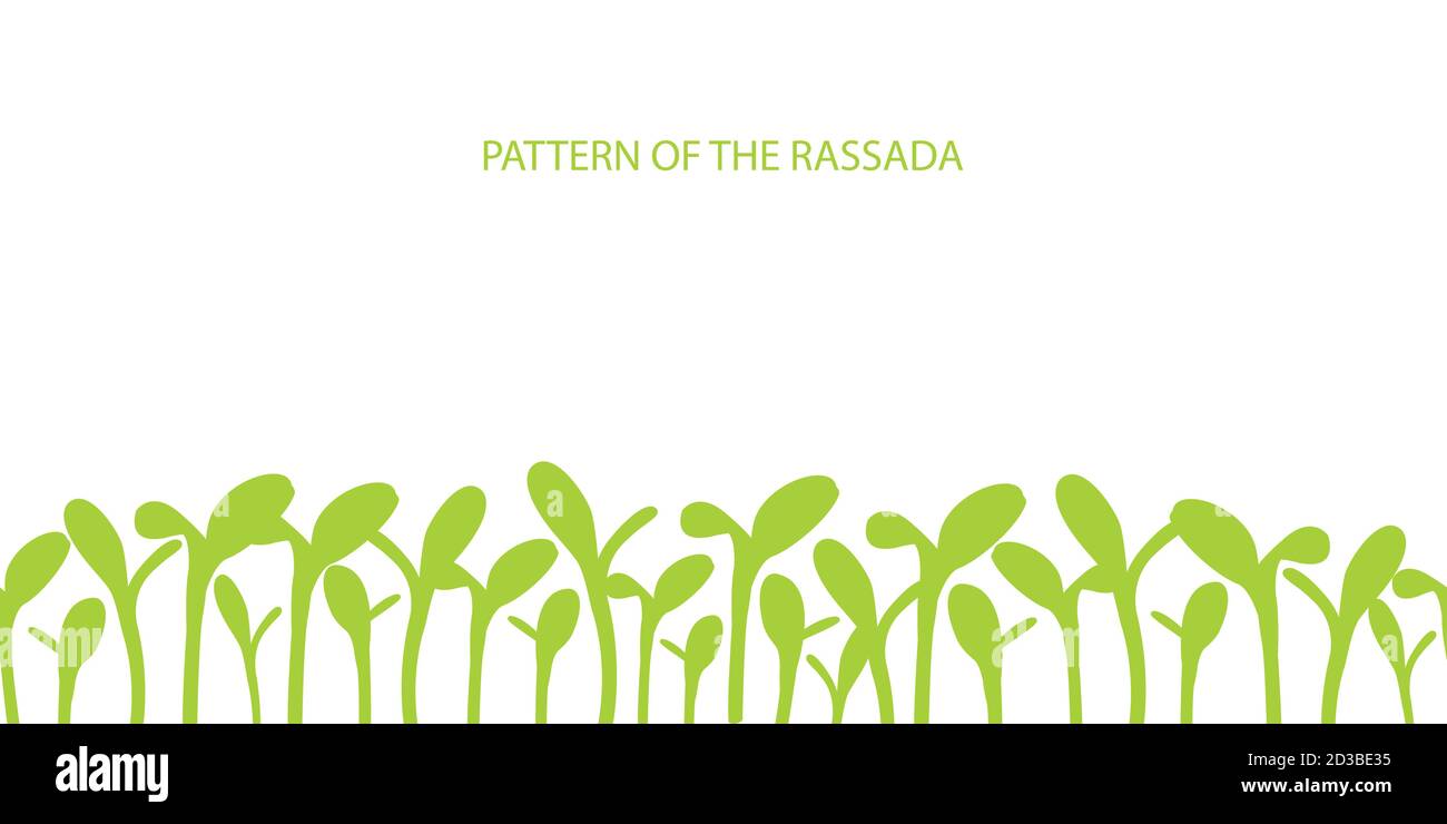 Patterns of seedlings. Crop production. Growing vegetables. Sowing ...