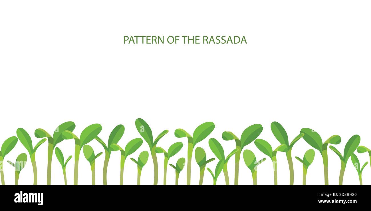 Patterns of seedlings. Crop production. Growing vegetables. Sowing ...