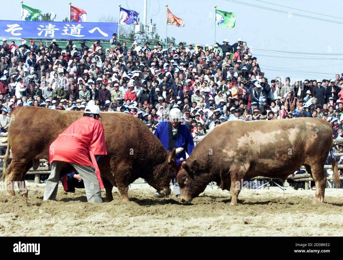 Mangchi hi-res stock photography and images - Alamy