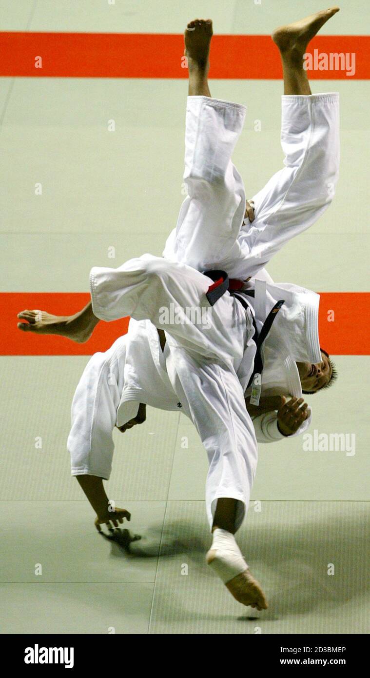 Baylon High Resolution Stock Photography and Images - Alamy