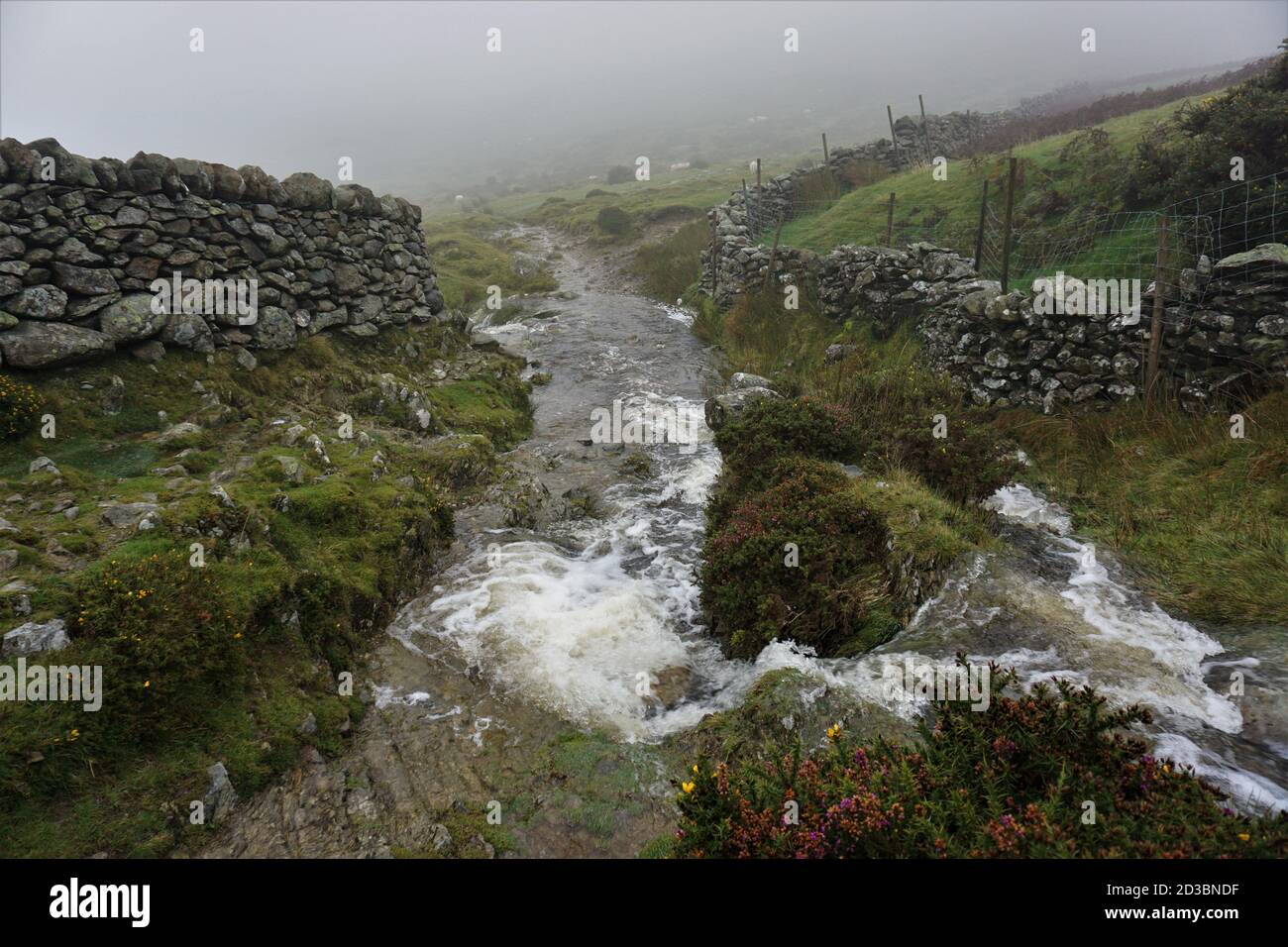 Wet footpath hi-res stock photography and images - Alamy