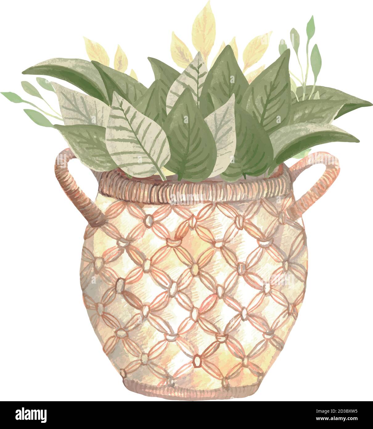 Boho style houseplant in a basket. hand-painted cozy house design. Home ...