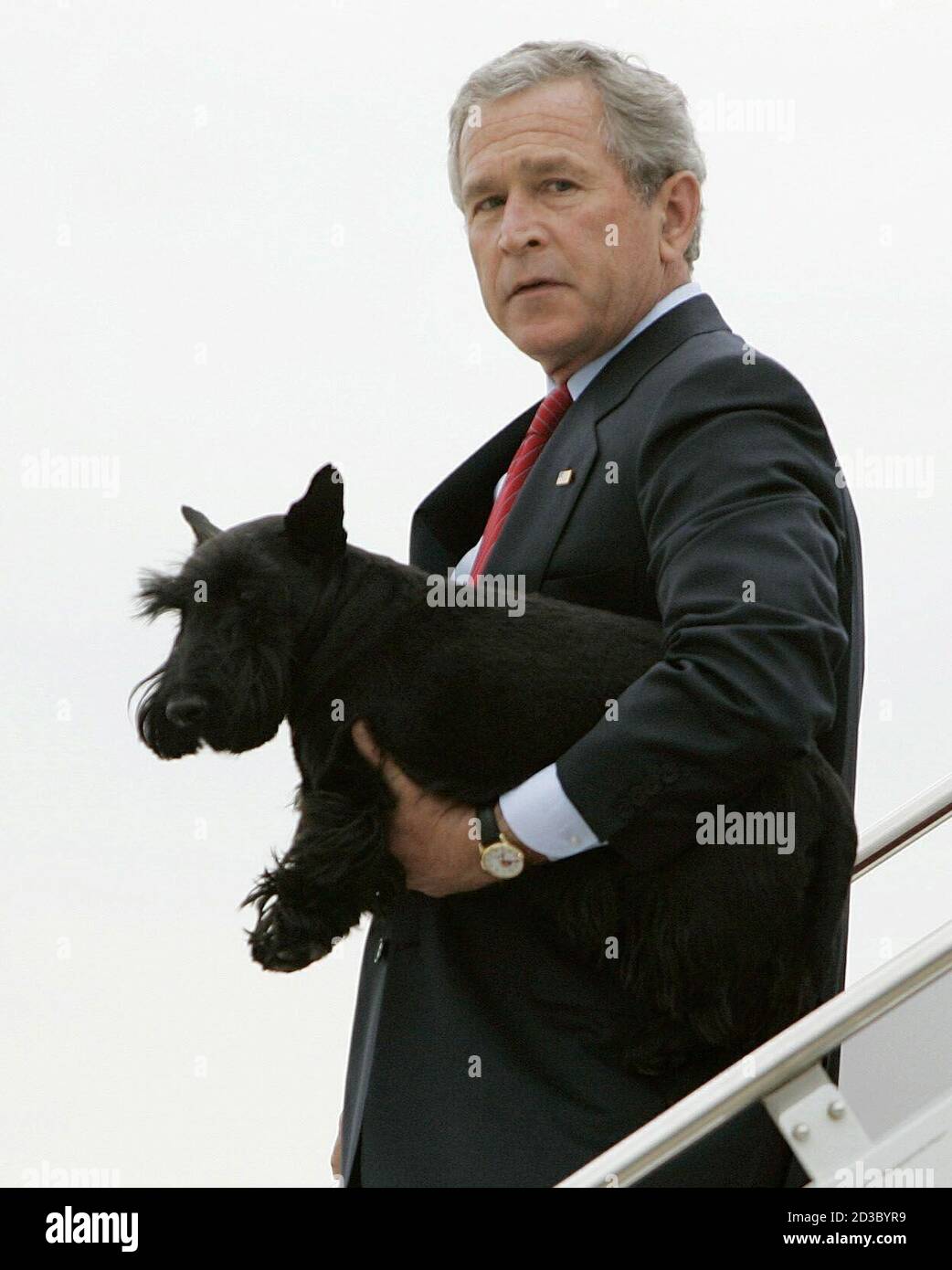 Pet personalities hi-res stock photography and images - Alamy