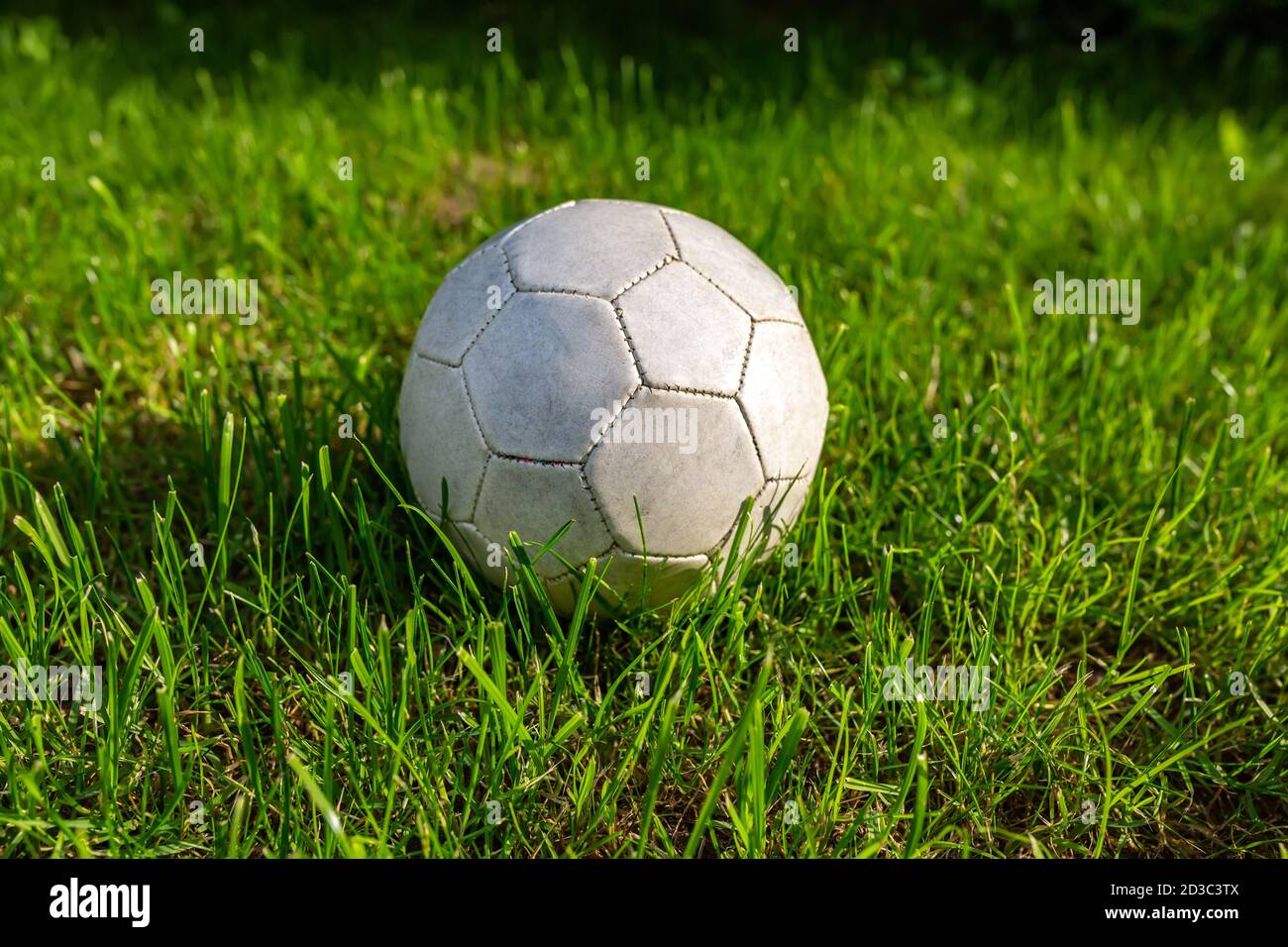 Football, sports. A fine green meadow with a soccer ball on it Stock ...