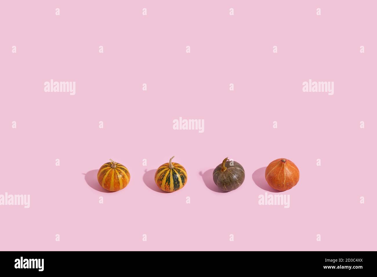 Small minimal pumpkins with shadow on pastel pink background. Holiday ...