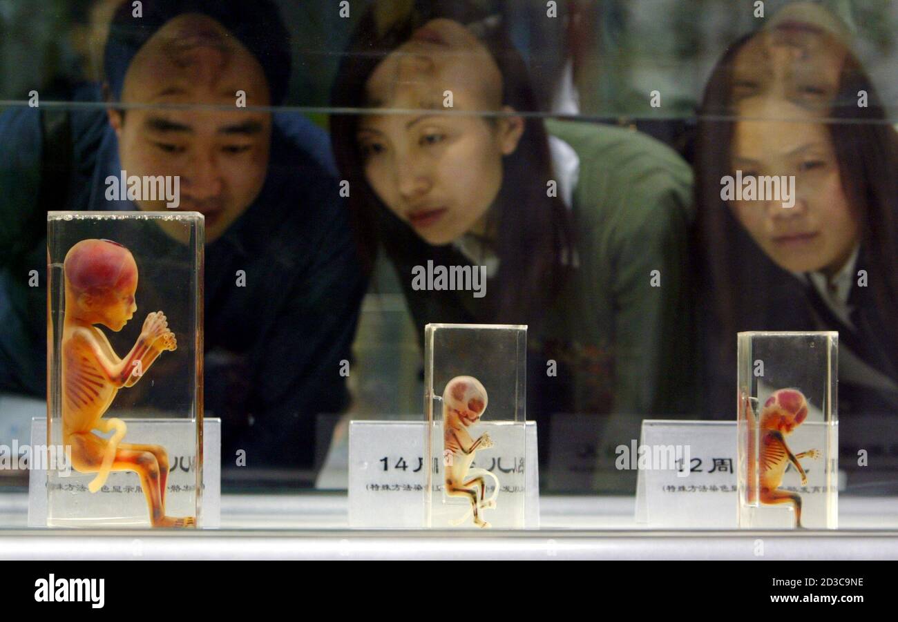 Plasticised hi-res stock photography and images - Alamy