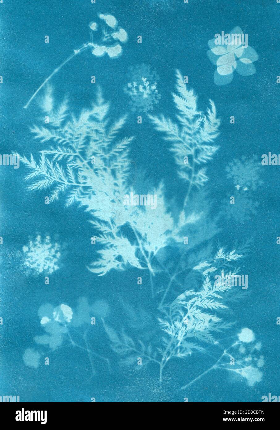 Blueprint paper texture hi-res stock photography and images - Alamy