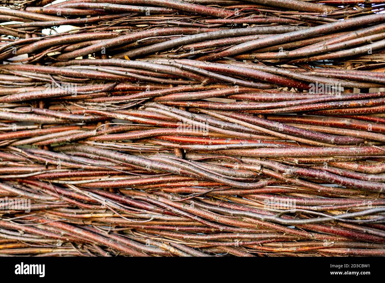 Wattle - a wicker fence of twigs, branches. Background texture natural ...