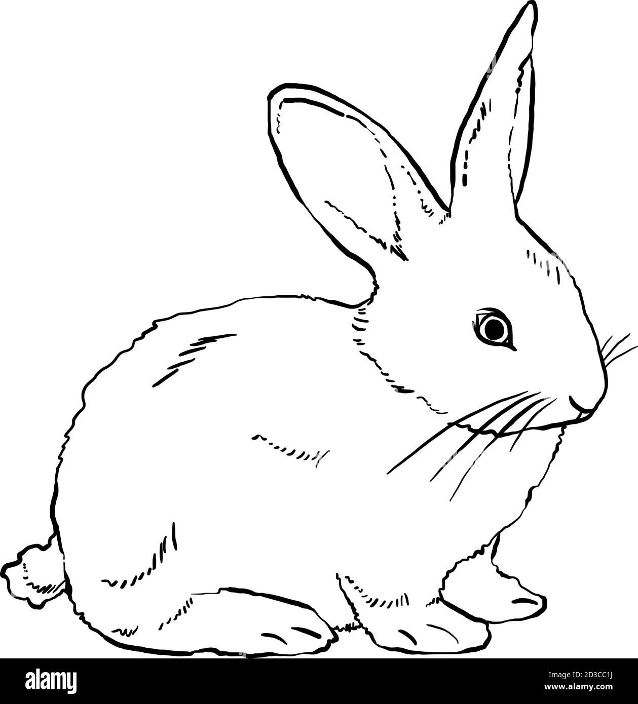Rabbit Hand Drawn High Resolution Stock Photography and Images - Alamy