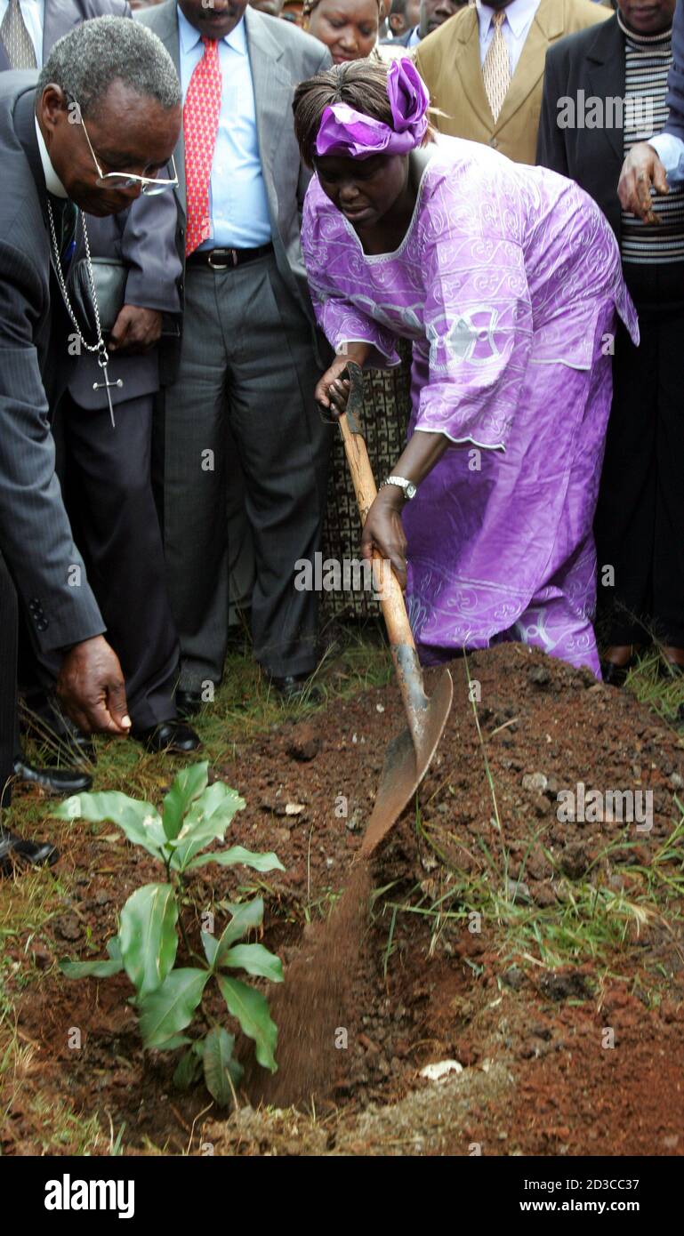 Wangari maathai tree hi-res stock photography and images - Alamy