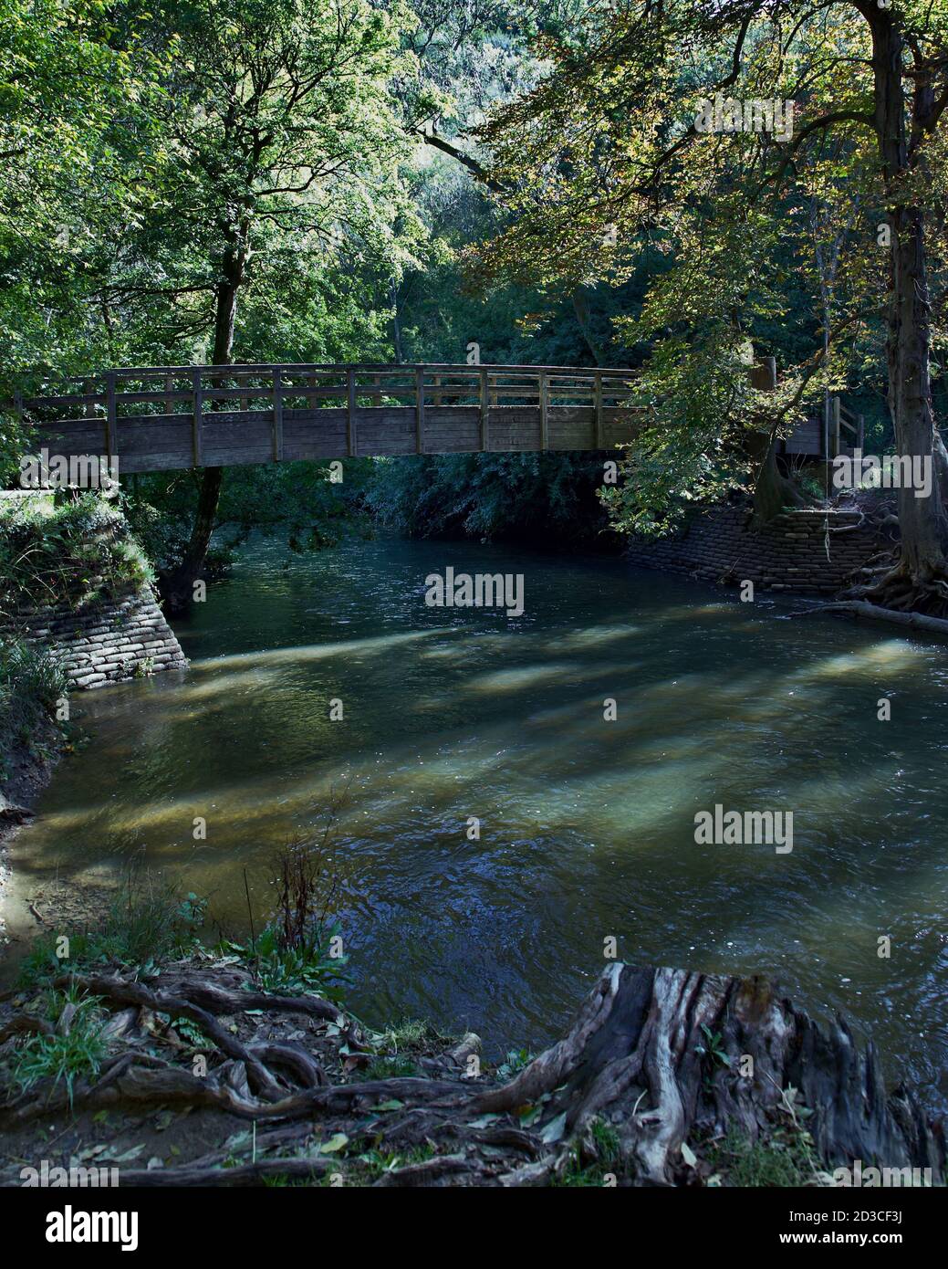 River in Box Hill National Park in Surrey, near Dorking UK Stock Photo ...