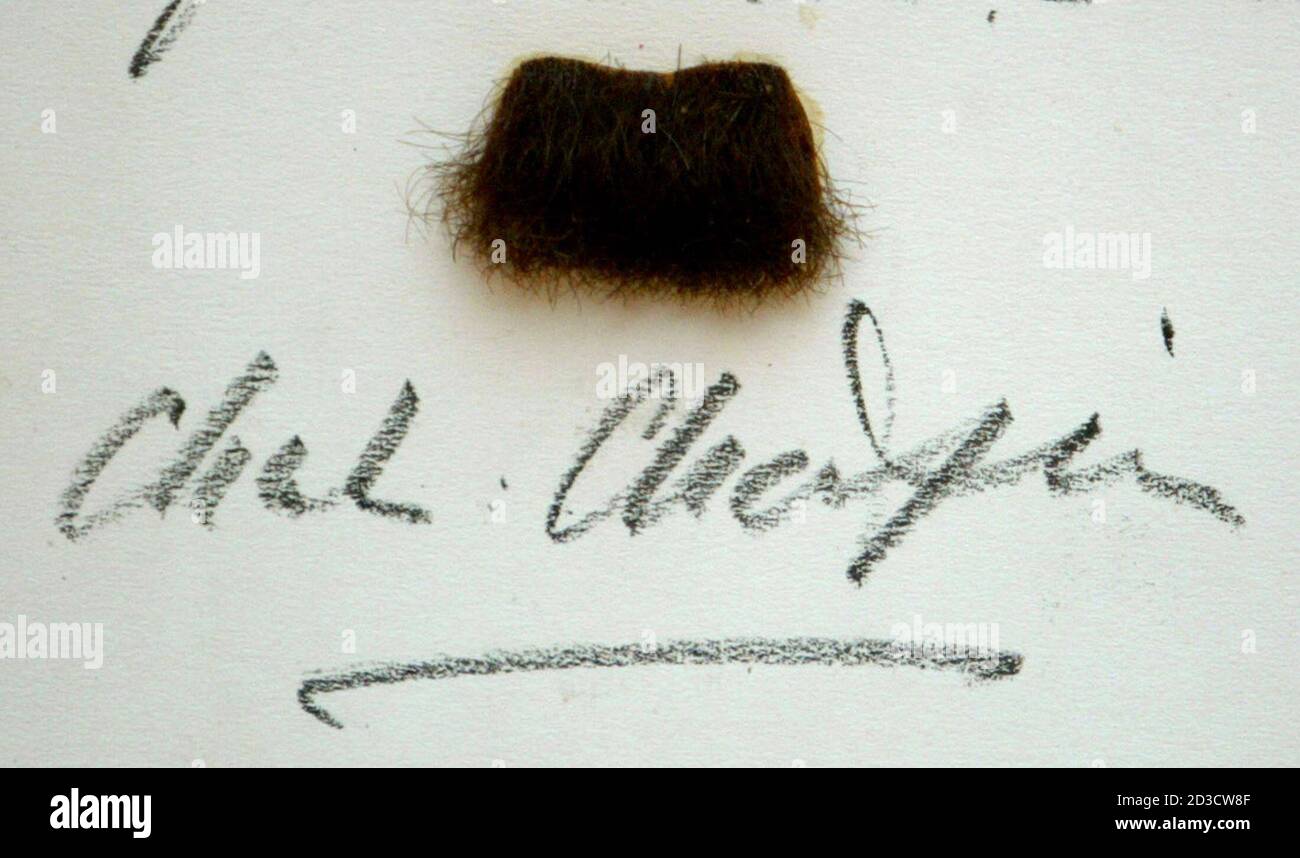 Moustache prop hi-res stock photography and images - Alamy