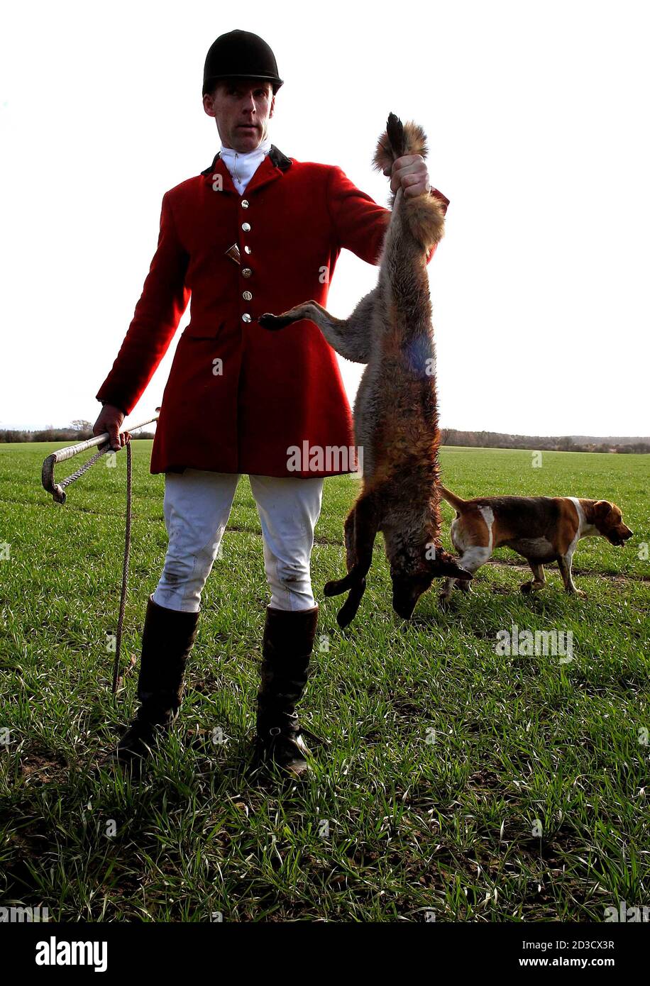 Hounds chasing foxes hi-res stock photography and images - Alamy