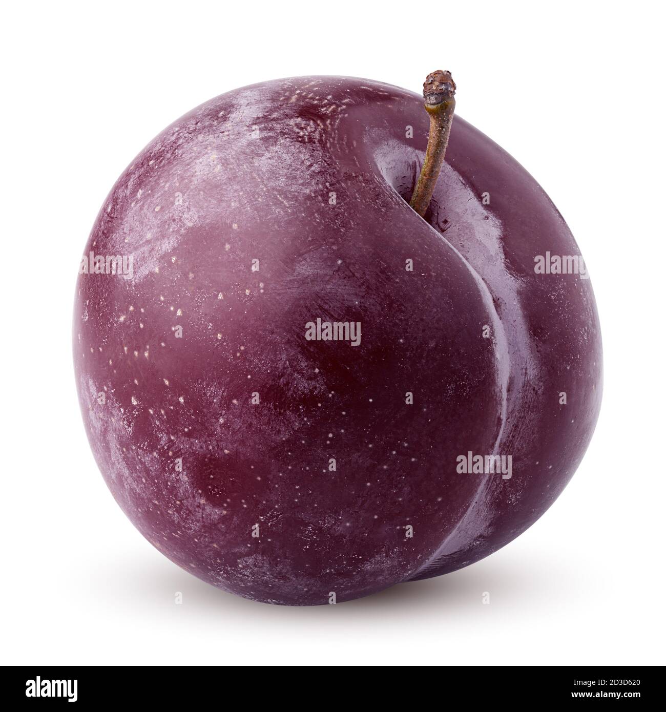 Cross section plum hi-res stock photography and images - Alamy