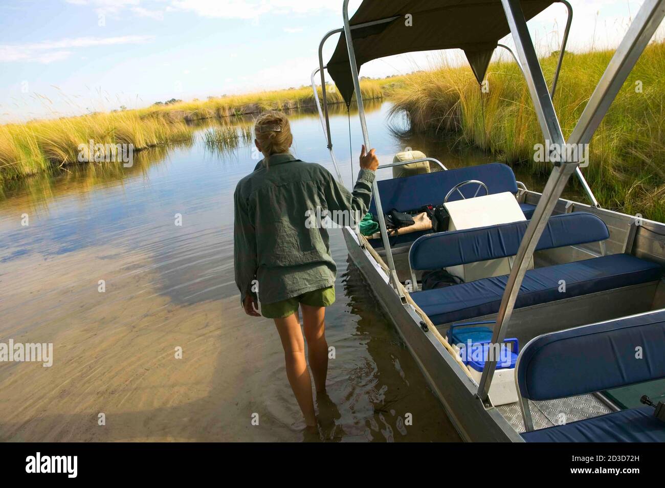 Rear view of woman wading in water, pushing boat, Okavango Delta ...