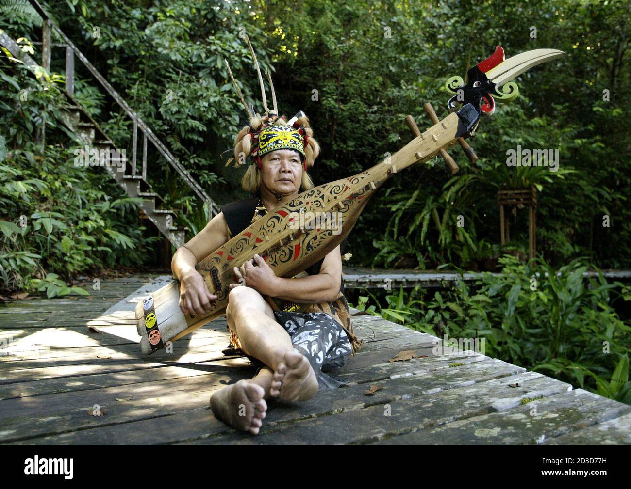 Rainforest music festival and borneo hi-res stock photography and ...