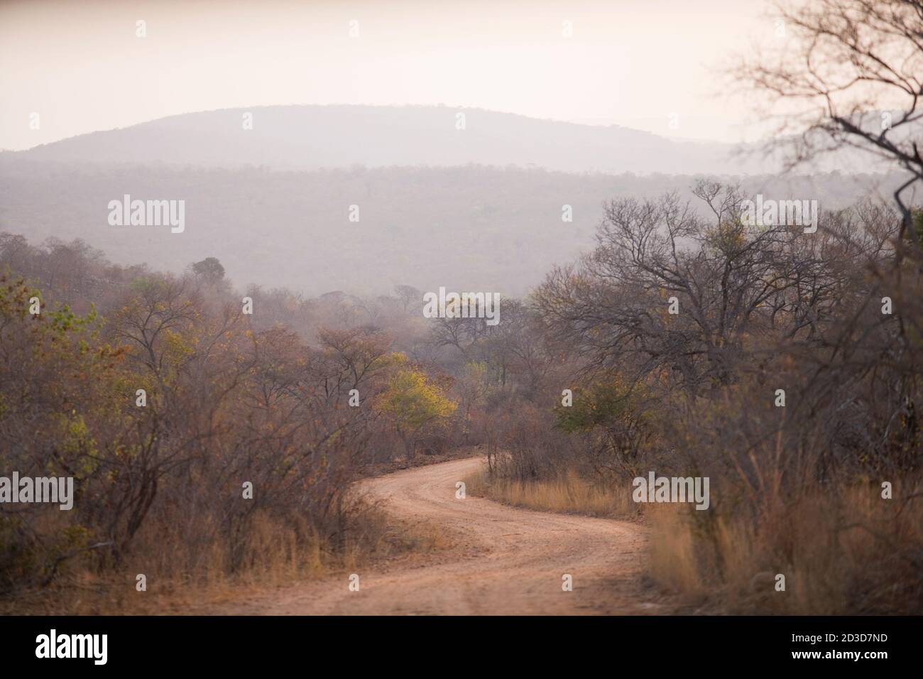 View along winding rural road, Southern Africa Stock Photo - Alamy