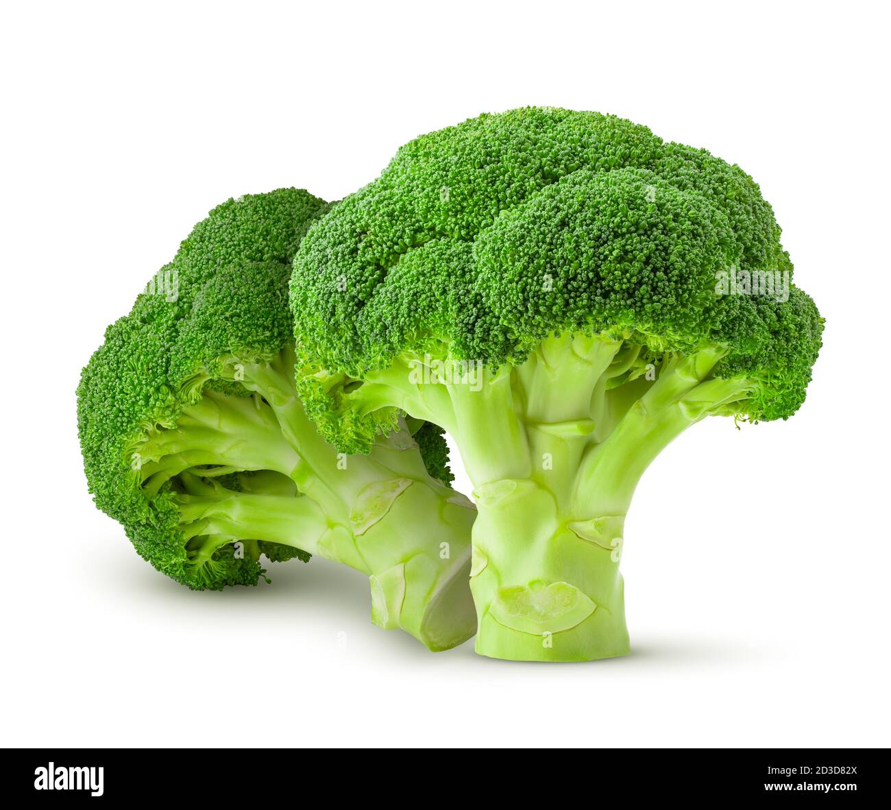 broccoli, isolated on white background, clipping path, full depth of ...