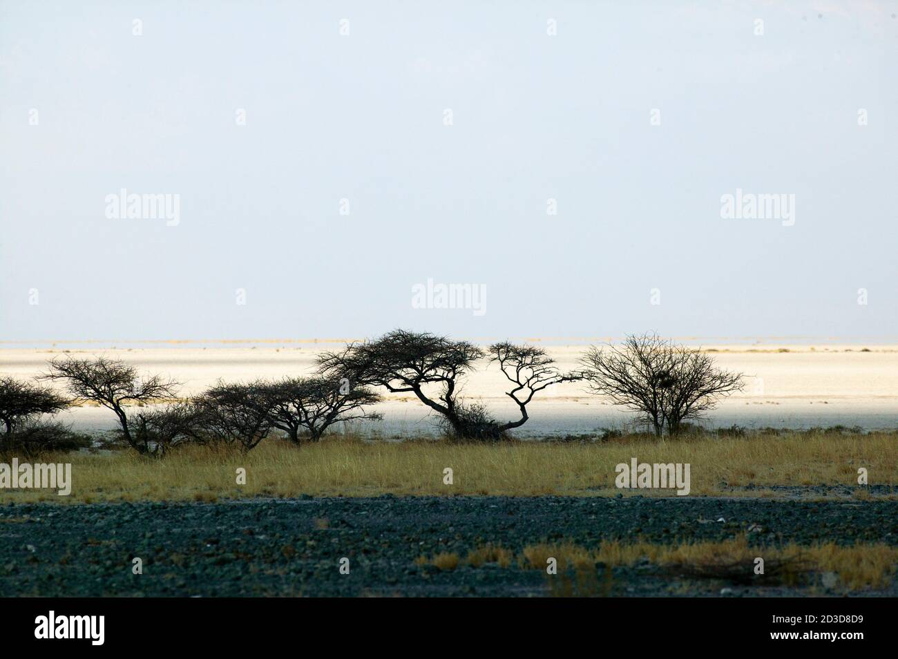 View across the Makadikadi Salt Pans in Botswana Stock Photo - Alamy