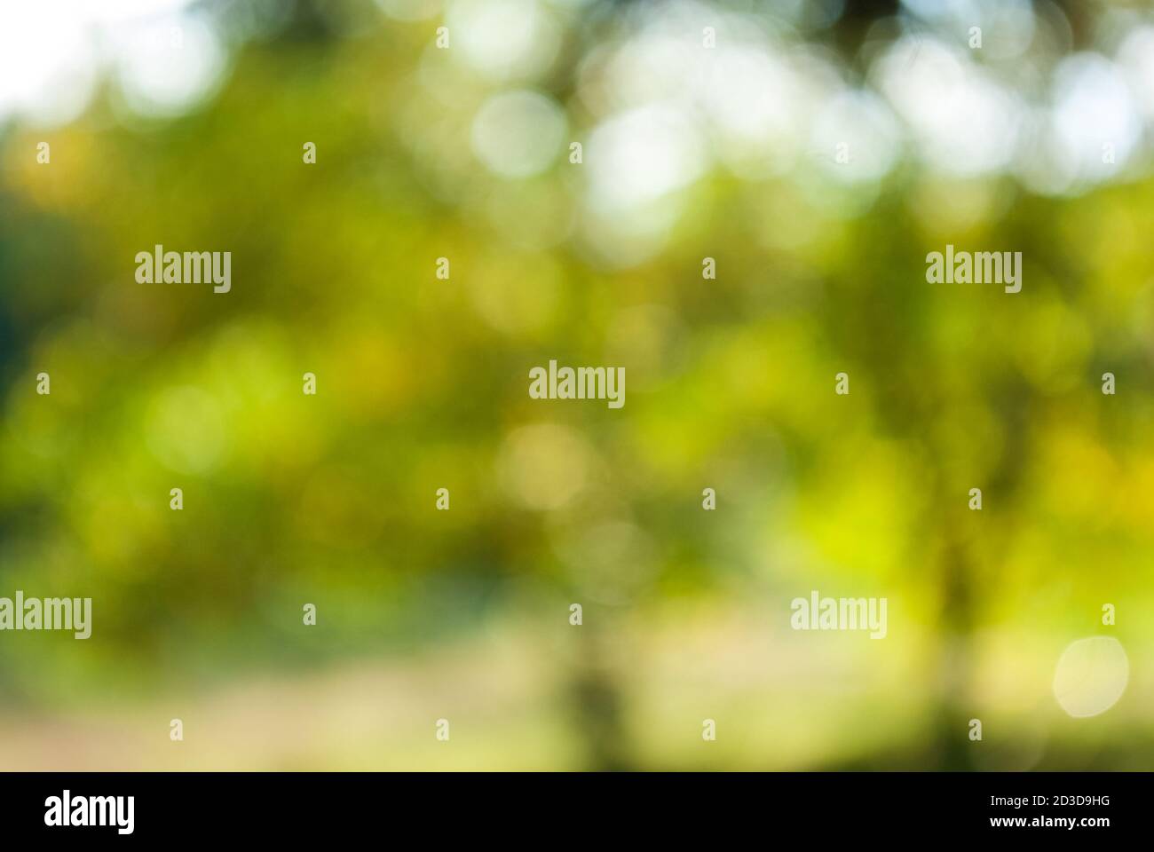 Blured image hi-res stock photography and images - Alamy