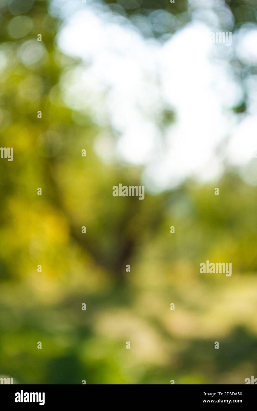 Blured image hi-res stock photography and images - Alamy