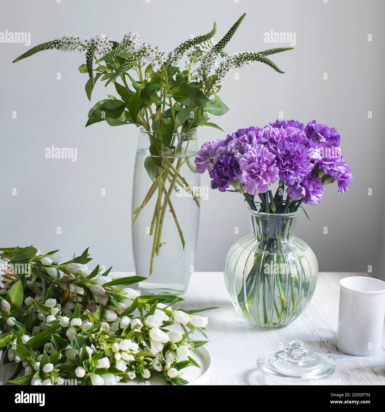 Gentiana lutea, the great yellow gentian, is a species of gentian ...