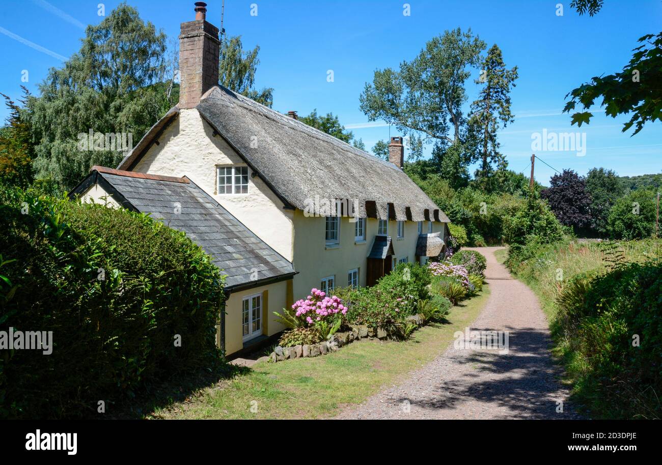 Traditional thatched cottage in Dunster, north Somerset Stock Photo - Alamy