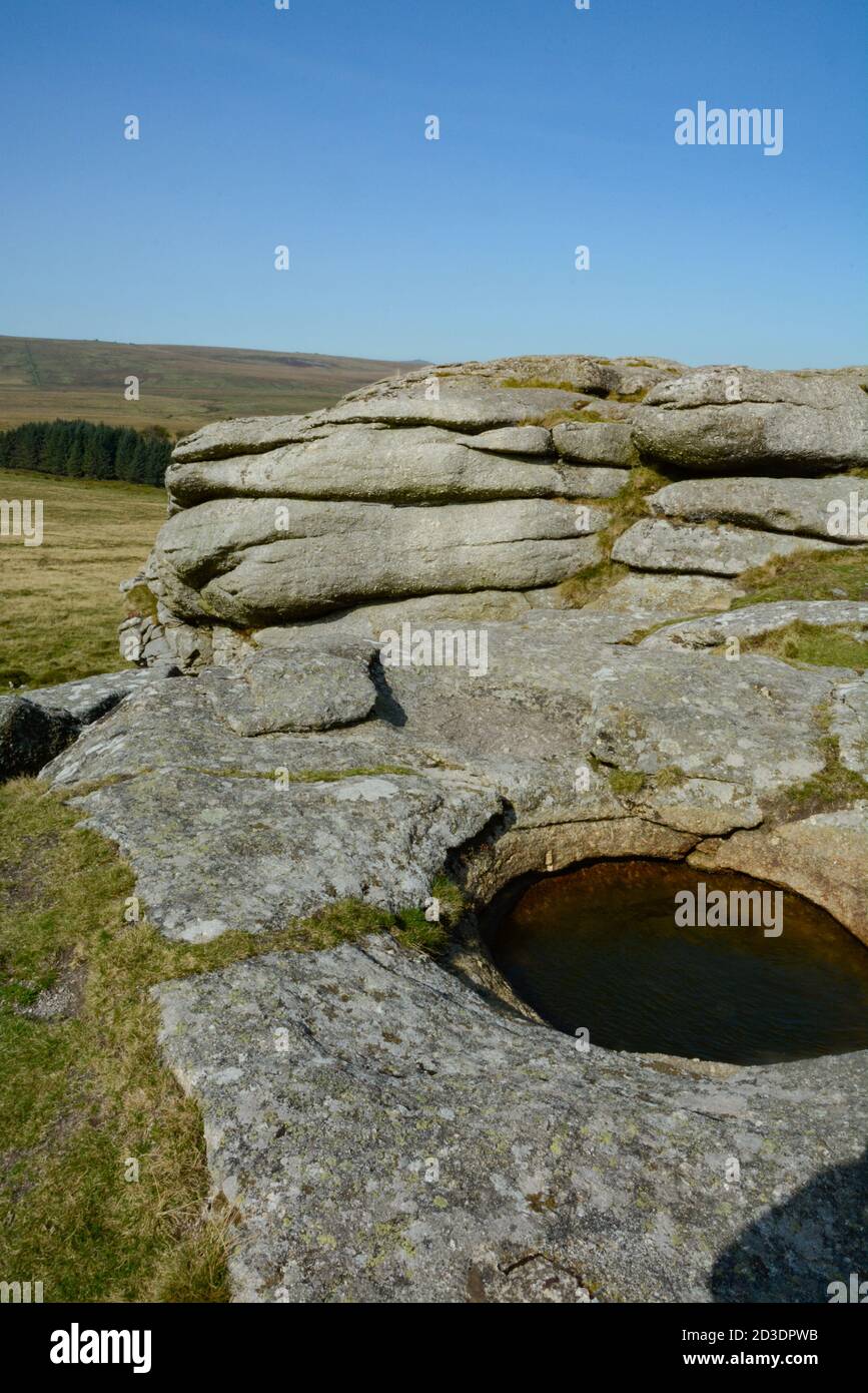 Naturally formed Rock Basin at Kestor Rock on Dartmoor Stock Photo - Alamy