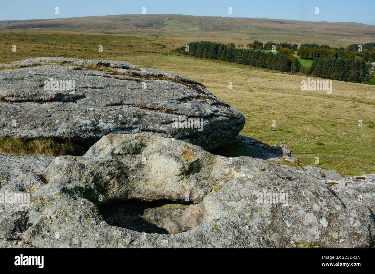 Naturally formed Rock Basin at Kestor Rock on Dartmoor Stock Photo - Alamy