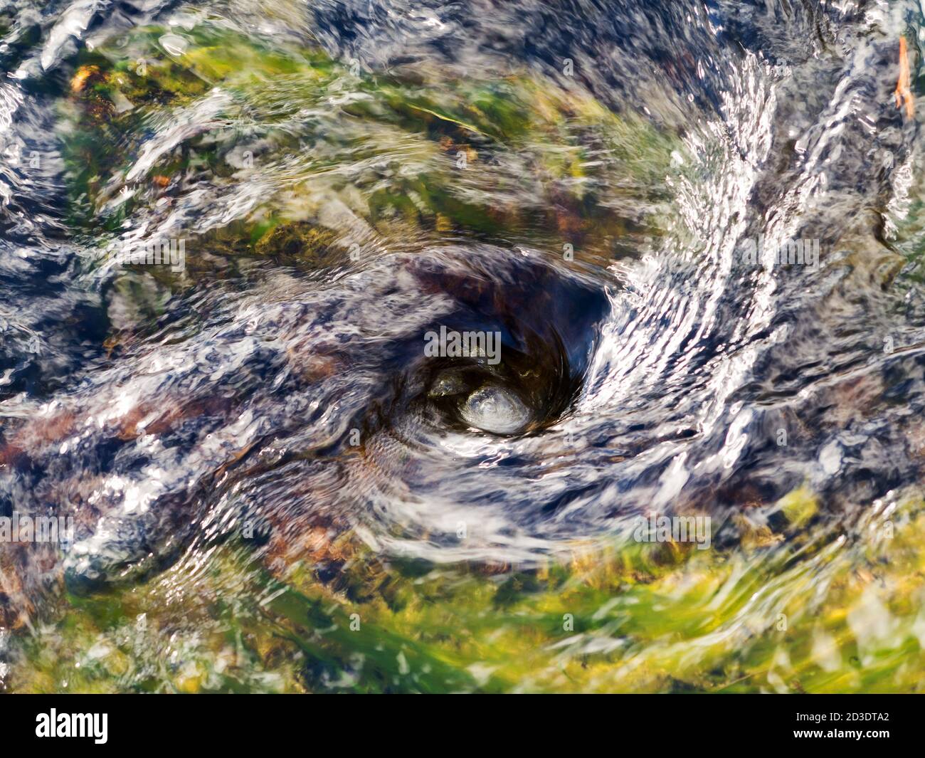 The raging whirlpool on surface of the deep river in blur the ...