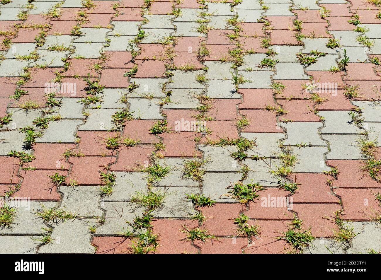 Grass tiles hi-res stock photography and images - Alamy