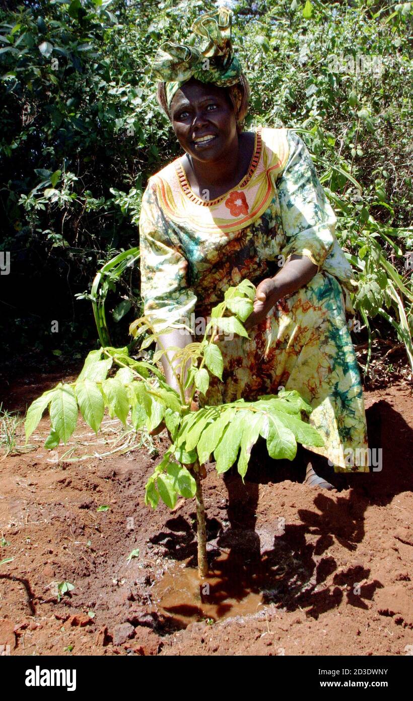 Prize plants hi-res stock photography and images - Alamy