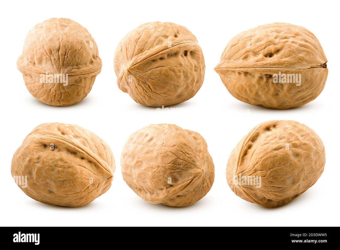 walnut, nut, isolated on white background, clipping path, full depth of ...