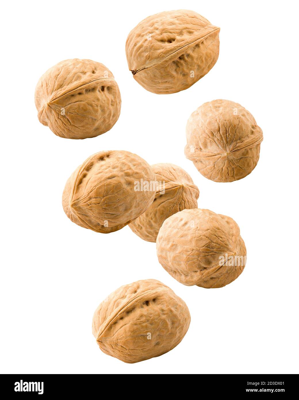 Falling walnut, nut, isolated on white background, clipping path, full ...