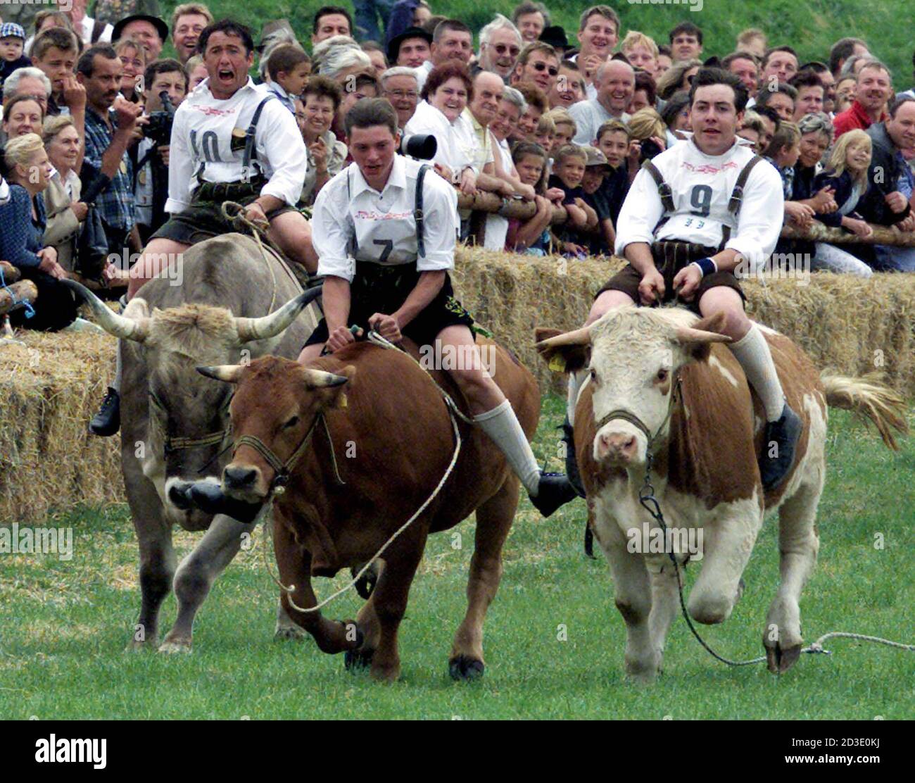 Moses with animals hi-res stock photography and images - Alamy