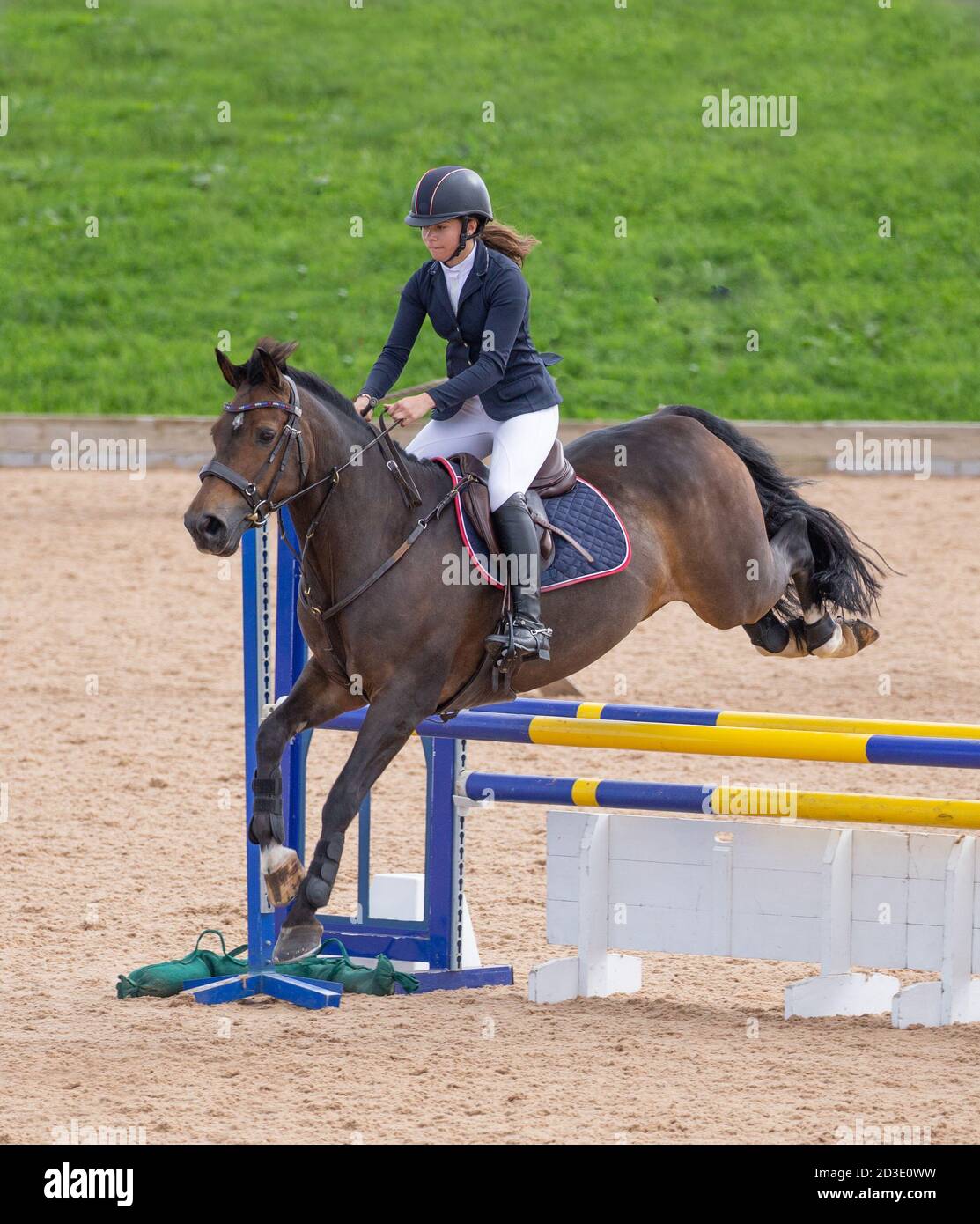 A showjumping horse in an elegant mid-flight position as it soars over ...