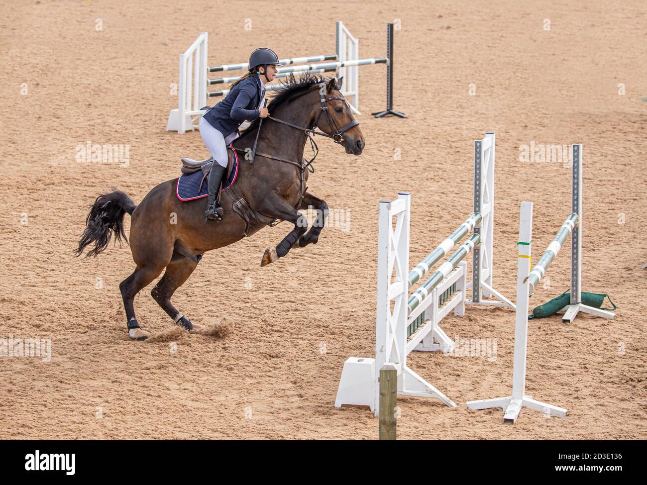 A showjumping horse just to launch over a hurdle with a young ...