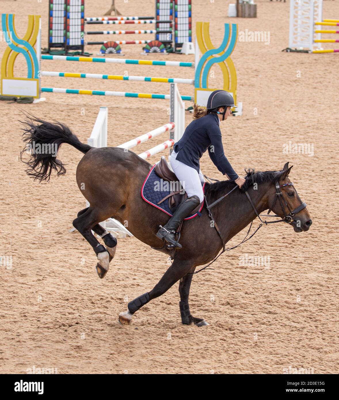 A showjumping horse in an elegant mid-flight position as it soars over ...