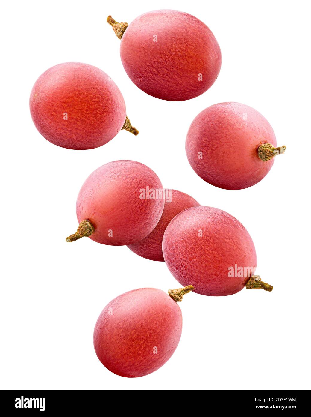 Falling red grape, isolated on white background, clipping path, full ...