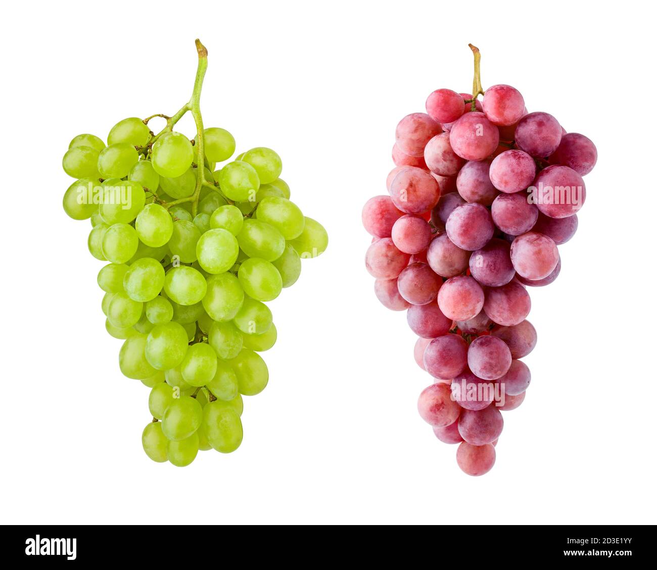 Small cluster bright red Cut Out Stock Images & Pictures - Alamy