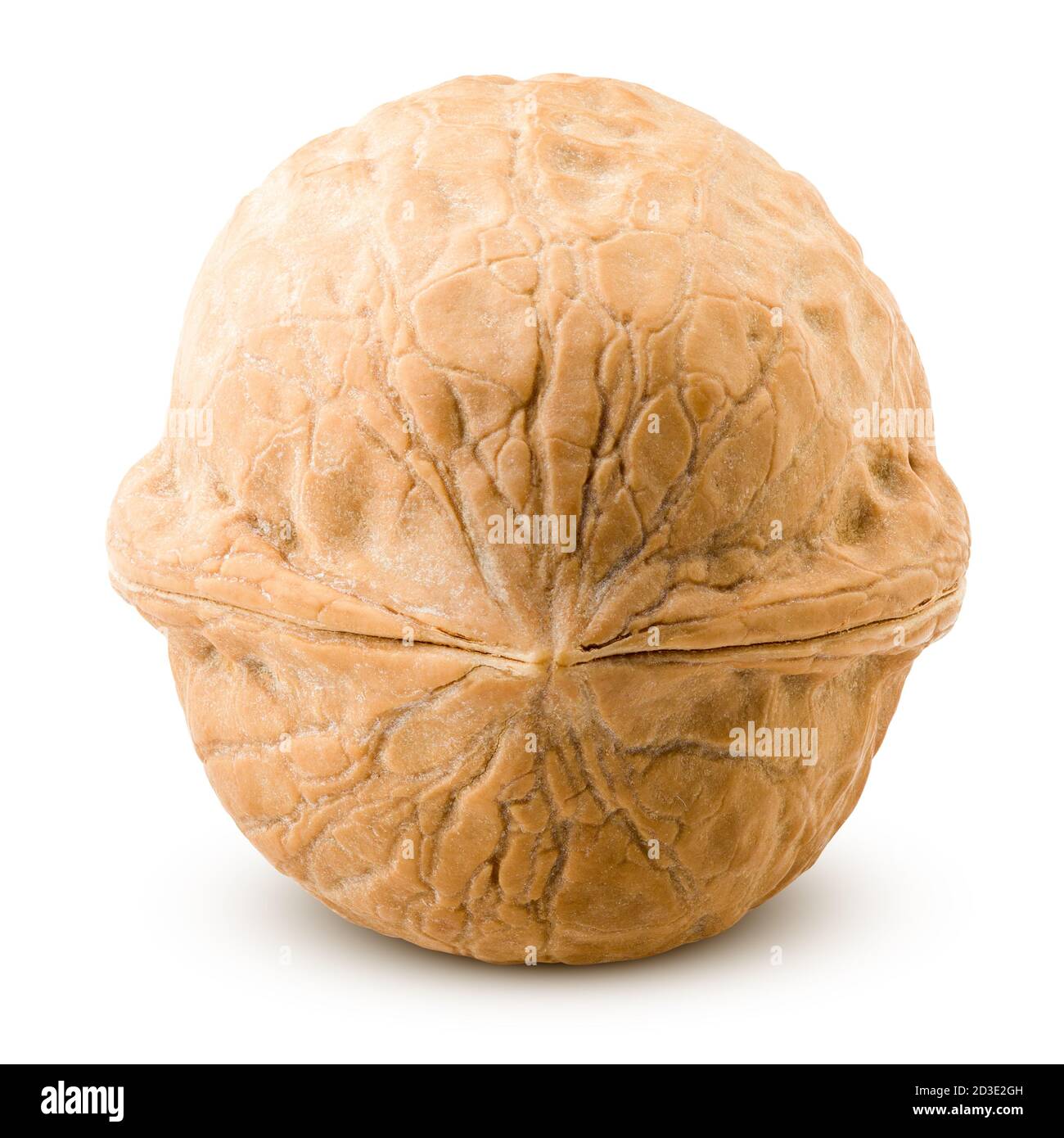 walnut, nut, isolated on white background, clipping path, full depth of ...