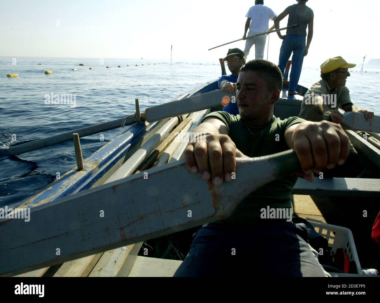 Mattanza hi-res stock photography and images - Alamy